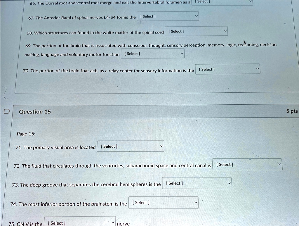 The Dorsal root and ventral root merge and exit the intervertebral foramen as a [Select] The ...