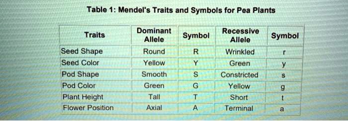 Table 1: Mendel's Traits and Symbols for Pea Plants Dominant Recessive ...