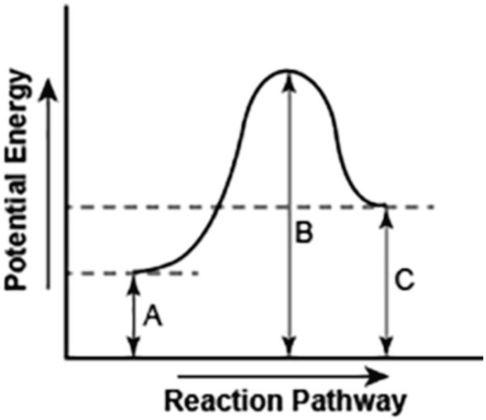SOLVED: 'The diagram shows the potential energy changes for a reaction ...