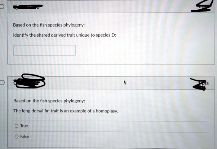 SOLVED: Based on the fish species phylogeny: Identify the shared ...