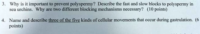 3. Why is it important to prevent polyspermy? Describe the fast and ...