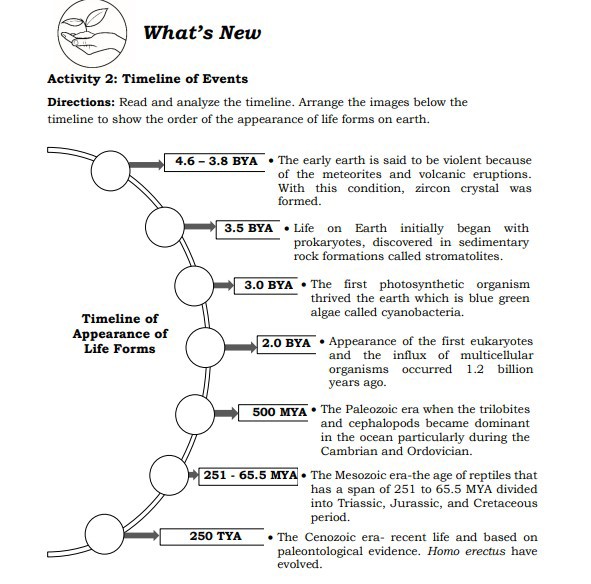 What's New Activity 2: Timeline of Events Directions: Read and analyze ...