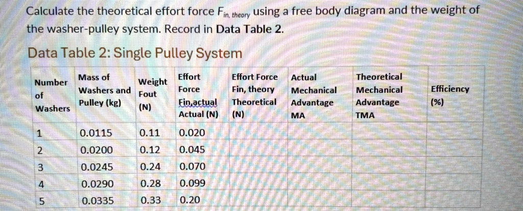 calculate the theoretical effort force fin theory using a free body ...