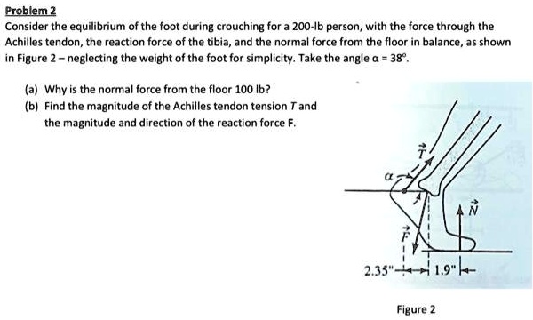 SOLVED: HW Help Problem2 Consider the equilibrium of the foot during ...
