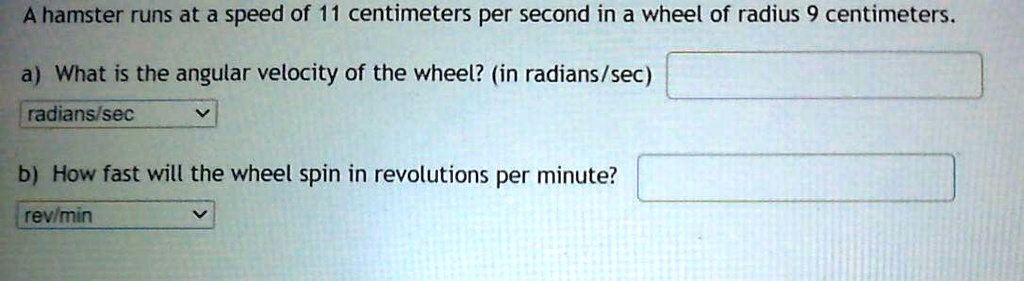 SOLVED: A hamster runs at a speed of 11 centimeters per second in a ...
