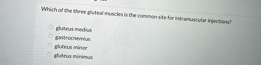 which of the three gluteal muscles is the common site for intramuscular ...