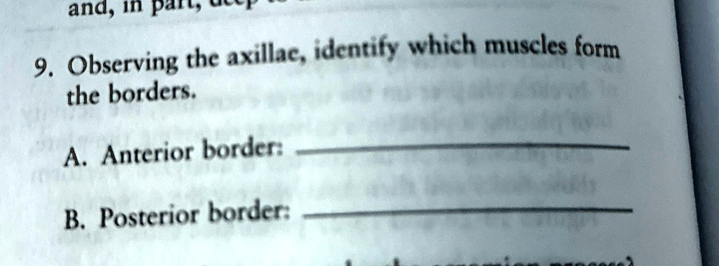 9. Observing the axillae, identify which muscles form the borders. A ...