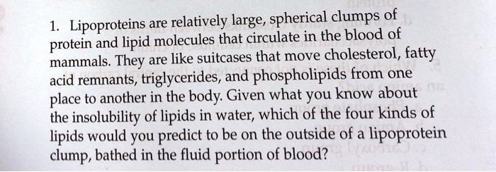 SOLVED: are relatively large, spherical clumps of Lipoproteins protein ...