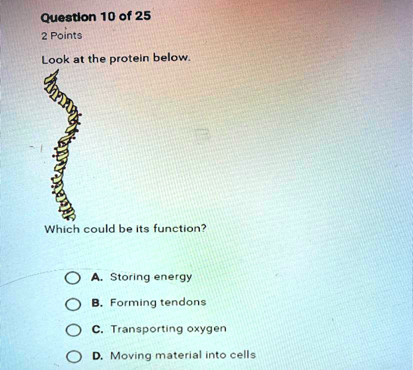 Solved A Storing Energy B Forming Tendons C Transporting Oxygen D