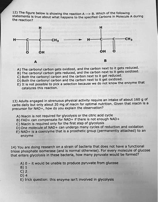 12) The figure below is showing the reaction A –> B. Which of the following statements is true ...
