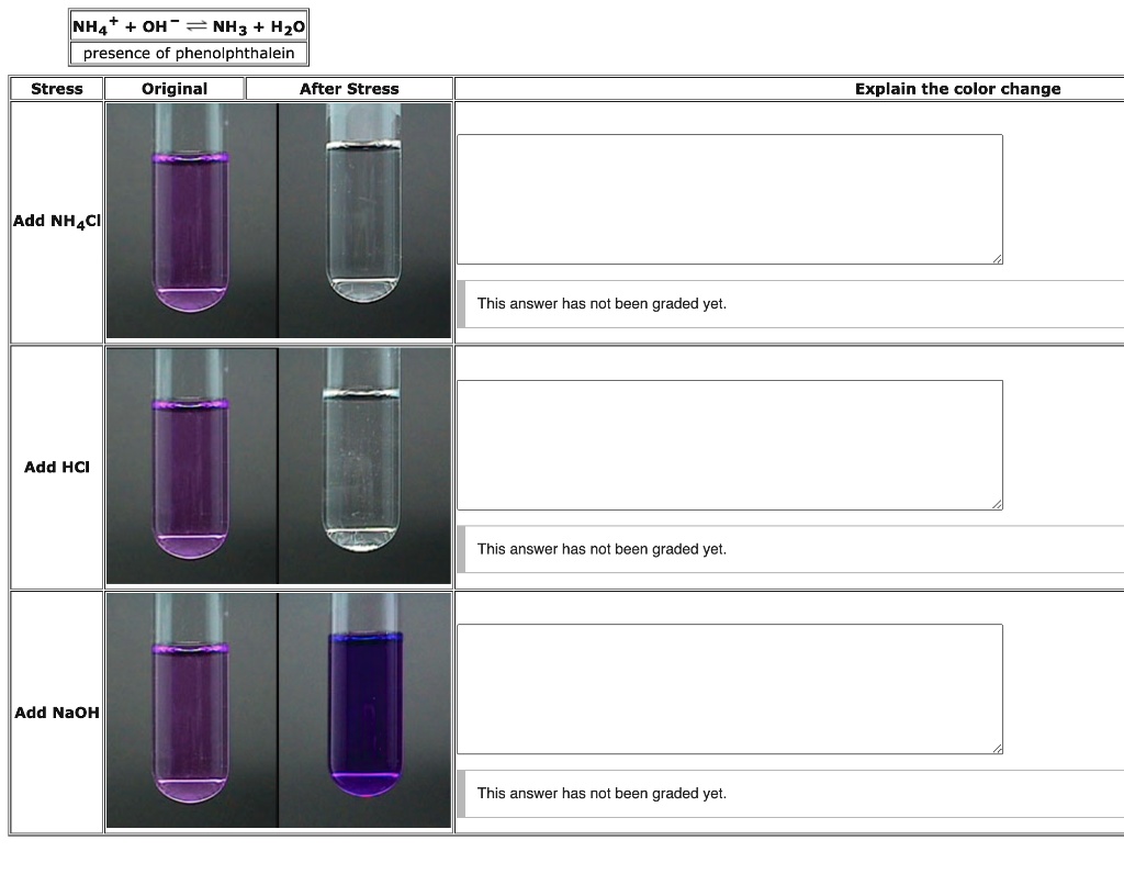 inh4 oh nh3 hzol presence of phenolphthalein stress original after ...