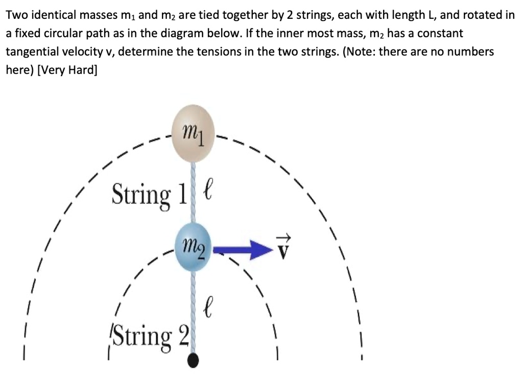 SOLVED: Two identical masses mi and mz are tied together by 2 strings ...