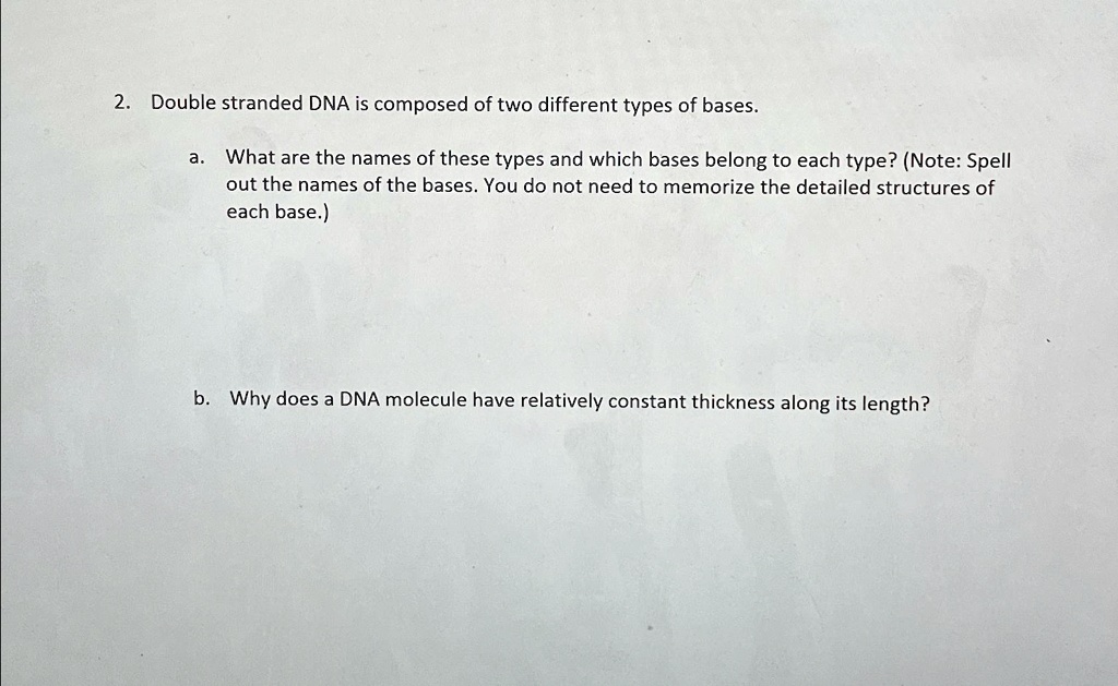 Double stranded DNA is composed of two different types of bases. a ...