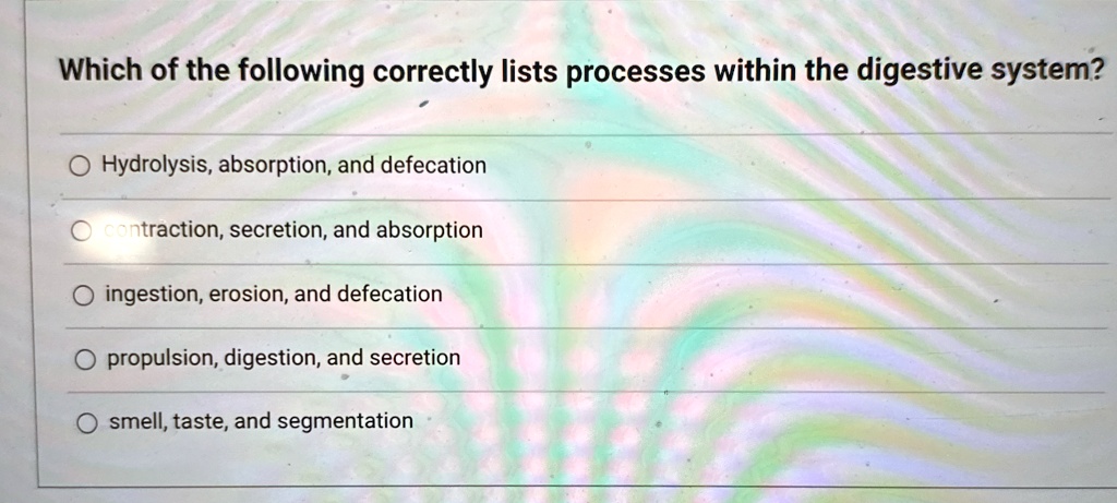 which of the following correctly lists processes within the digestive ...