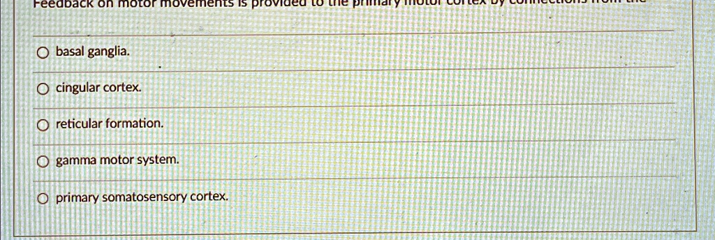 Feedback on motor movements is provided to the primary motor cortex by ...