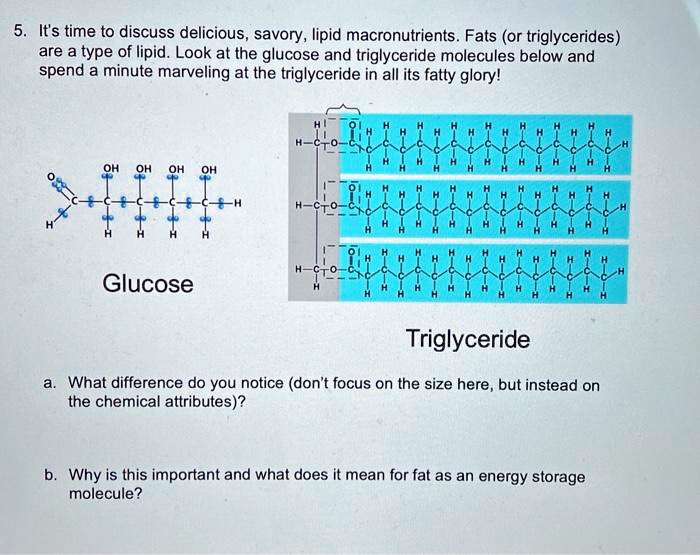 SOLVED: It's time to discuss delicious, savory, lipid macronutrients ...