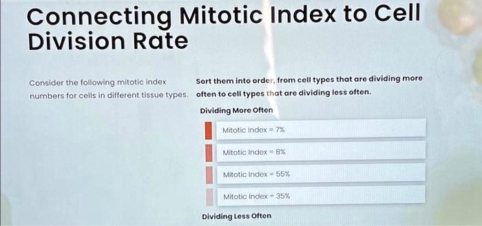 Connecting Mitotic Index to Cell Division Rate Consider the following ...