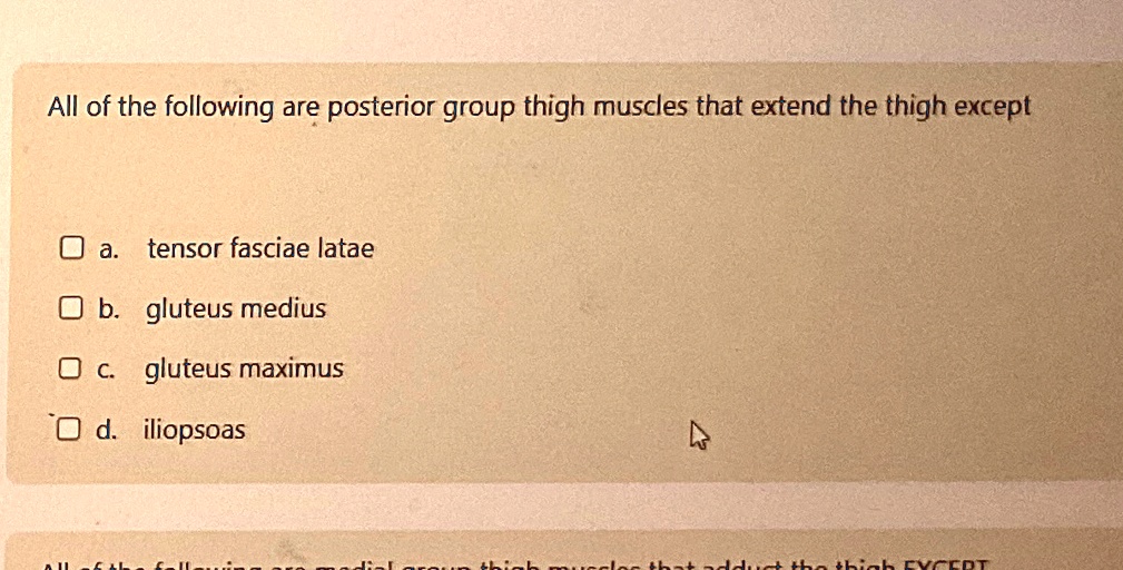 all of the following are posterior group thigh muscles that extend the ...