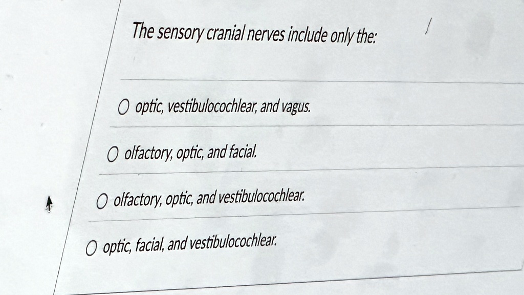 the sensory cranial nerves include only the o optic vestibulocochlear ...