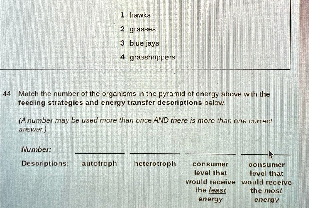 SOLVED: 1. hawks 2. grasses 3. blue jays 4. grasshoppers Match the ...