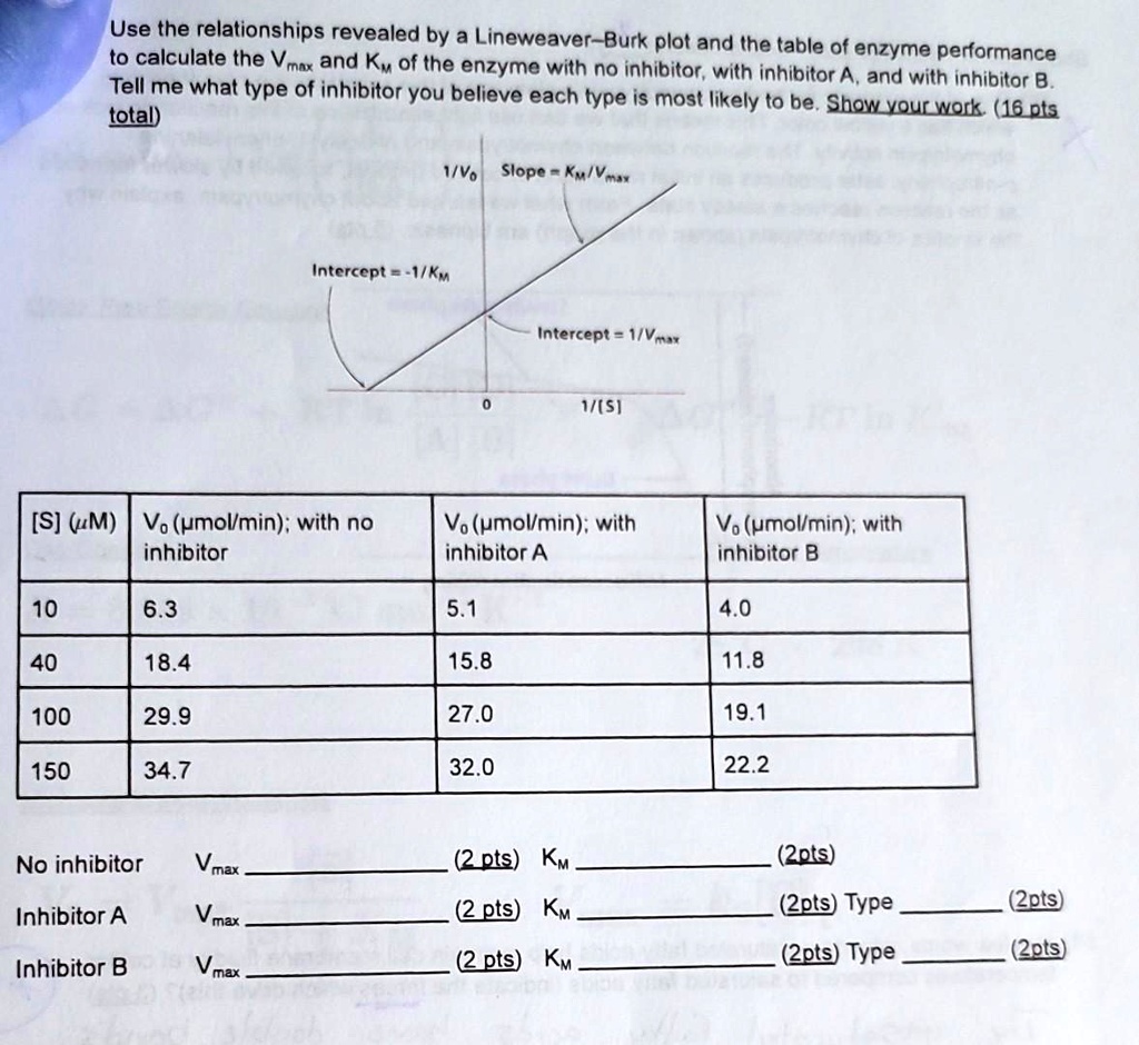 SOLVED: Use the relationships revealed by a Lineweaver-Burk plot and ...