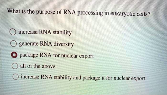 what is the purpose of rna processing in eukaryotic cells increase rna ...