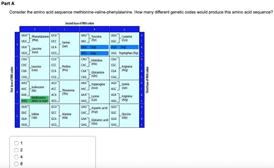 Part A Consider the amino acid sequence methionine-valine-phenylalanine ...