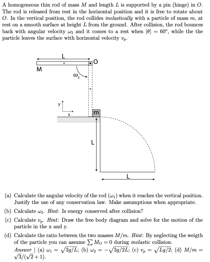 A homogeneous thin rod of mass M and length L is supported by a pin ...