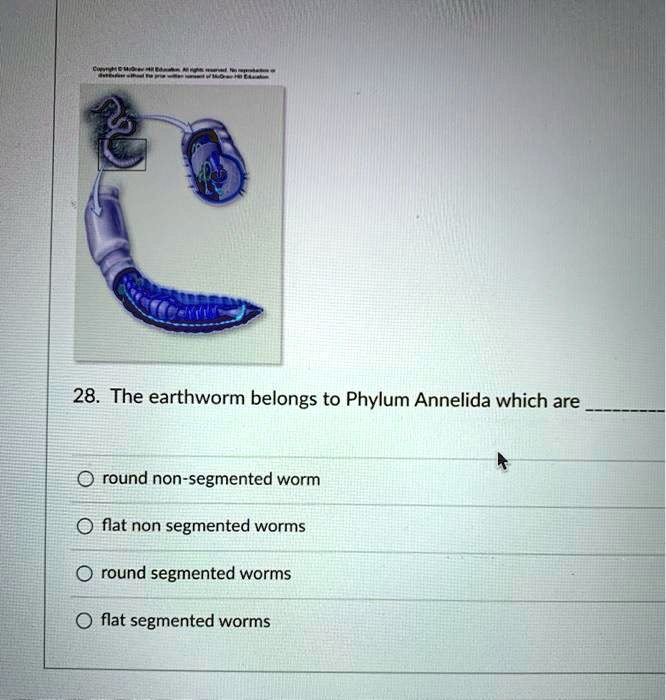 28 the earthworm belongs to phylum annelida which are round non ...