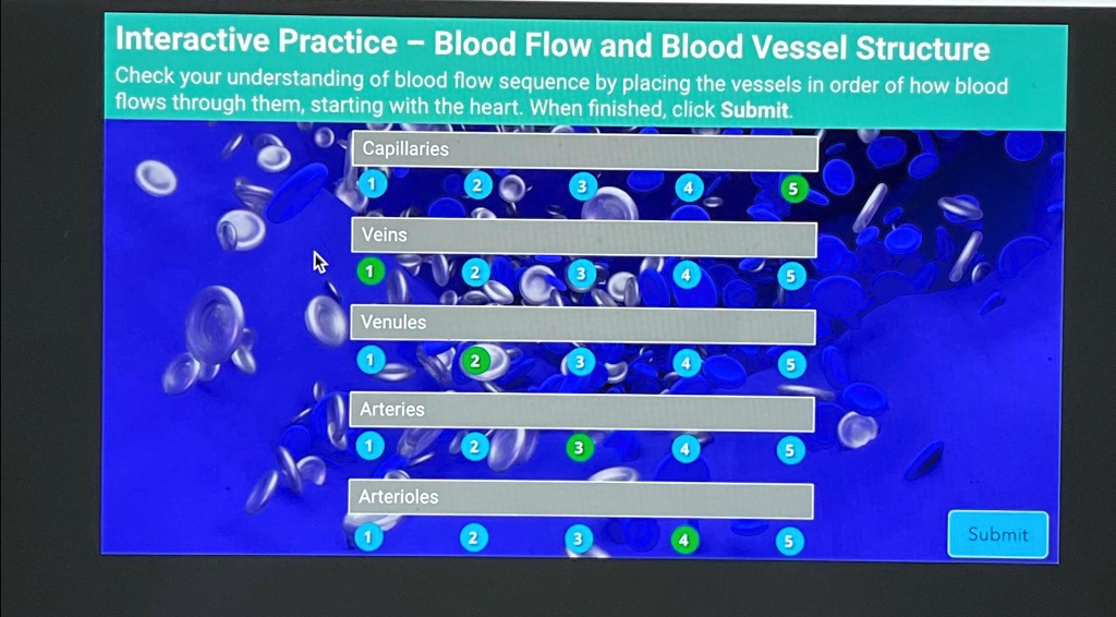 SOLVED: Interactive Practice - Blood Flow and Blood Vessel Structure ...