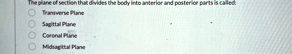 the plane of section that divides the body into anterior and posterior ...