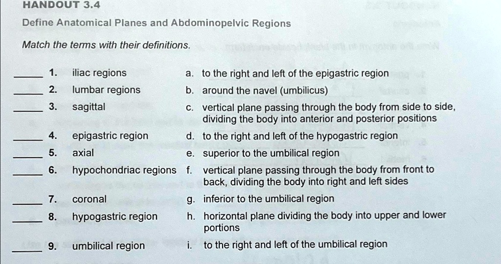 SOLVED: HANDOUT 3.4 Define Anatomical Planes and Abdominopelvic Regions ...