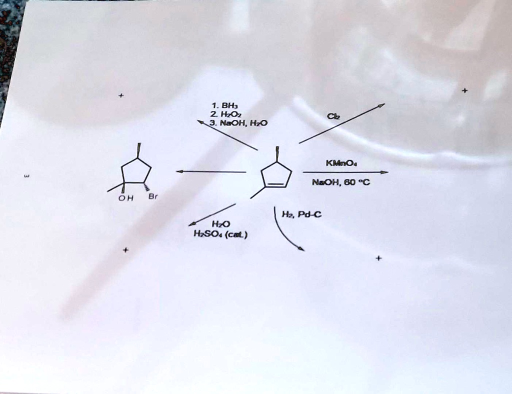 SOLVED: 1. BH2O2 2. 3. NaOH, H2O 4. KMnO4 5. NaOH, 60C 6. OH 7. Br 8 ...