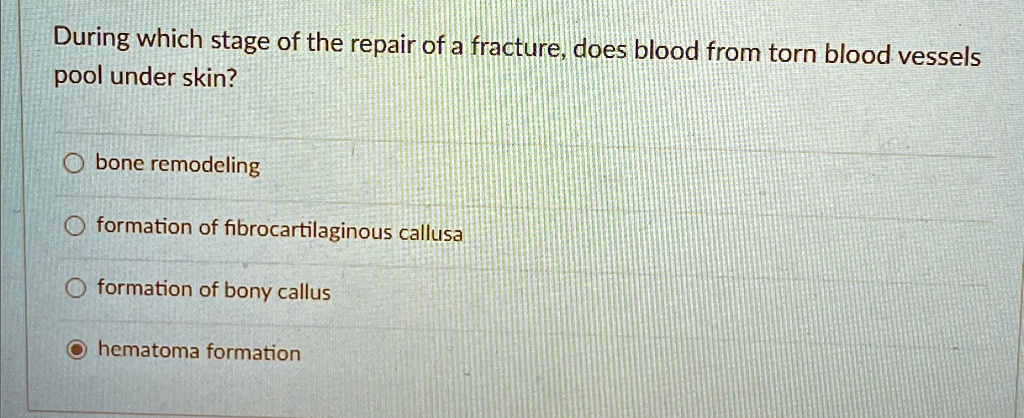 During which stage of the repair of a fracture, does blood from torn ...