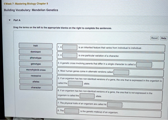week 7 masterlng blology chapter building vocabulary mendelian genetics ...