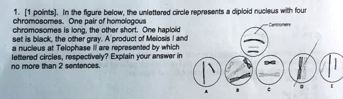 SOLVED: 1. [1 point]. In the figure below, the unlettered circle ...