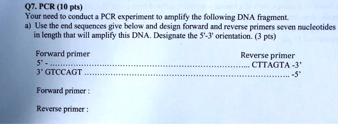SOLVED: Q7. PCR (10 pts) Your need t0 conduct PCR experiment to amplify ...