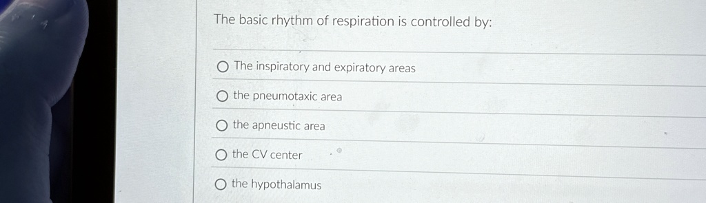 the basic rhythm of respiration is controlled by the inspiratory and ...