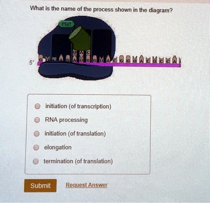 What is the name of the process shown in the diagram? Met 5' GA ...