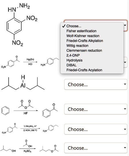 NH2 HN NO2 O NO2 HO H?N ? Choose... Fisher esterification Wolf-Kishner ...