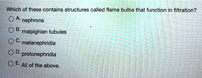which of these contains structures called flame bulbs that function in ...