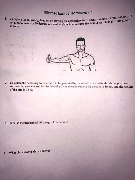 SOLVED: Four questions about biomechanics. Would you show me the vectors and torque ...