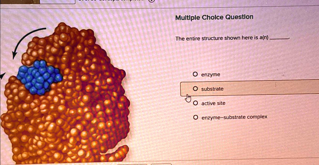 Multiple Choice Question The entire structure shown here is a(n) O enzyme O substrate O active ...