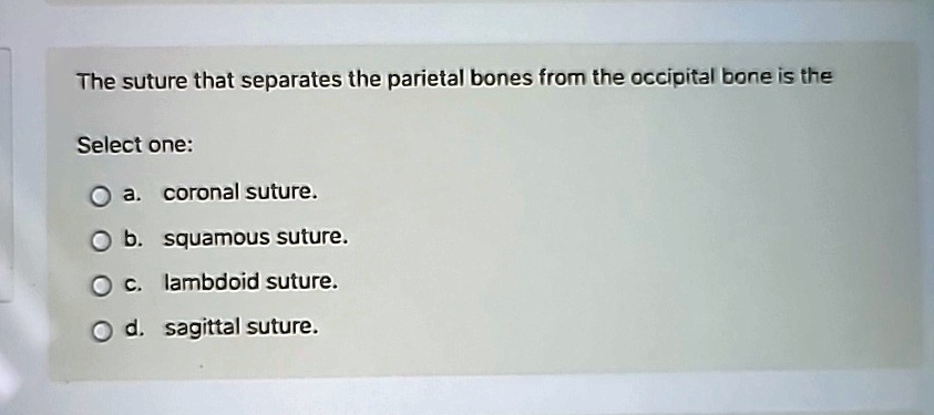 The suture that separates the parietal bones from the occipital bone is ...