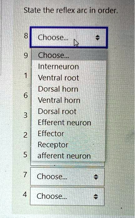 State the reflex arc in order. 8 Choose... 9 Choose... Interneuron 1 ...