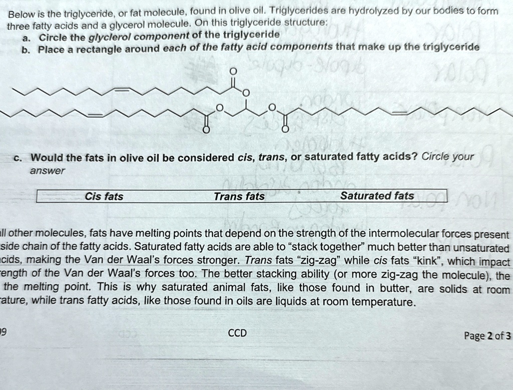 below is the triglyceride or fat molecule found in olive oil ...
