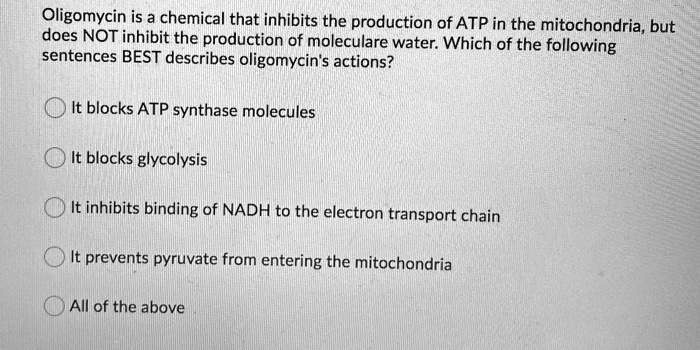 oligomycin is a chemical that inhibits the production of atp in the ...