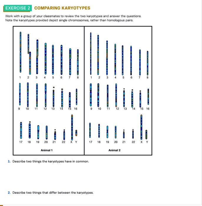 SOLVED: Exercise 2: Comparing Karyotypes Work with your classmates. You ...