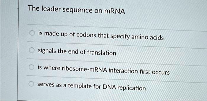 The leader sequence on mRNA is made up of codons that specify amino ...