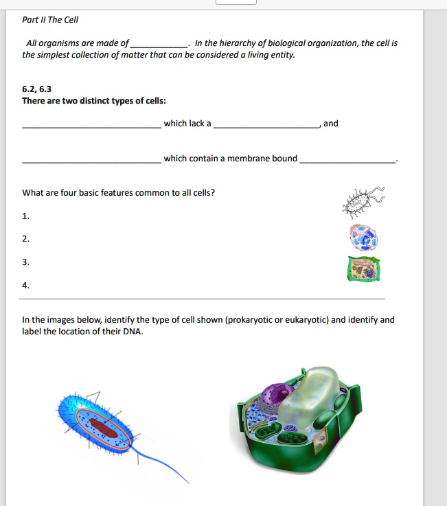 SOLVED: Part II The Cell All organisms are made of In the hierarchy of ...